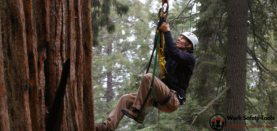 10 Best Boots for Tree Climbing With Safety in 2025
