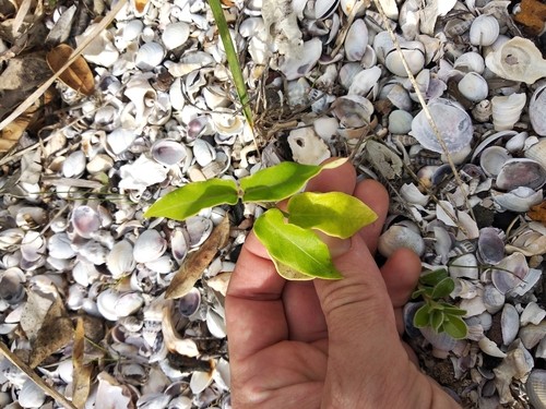 Nike Air Force 1 Color Change: Customizing Your Sneakers With Heat ...