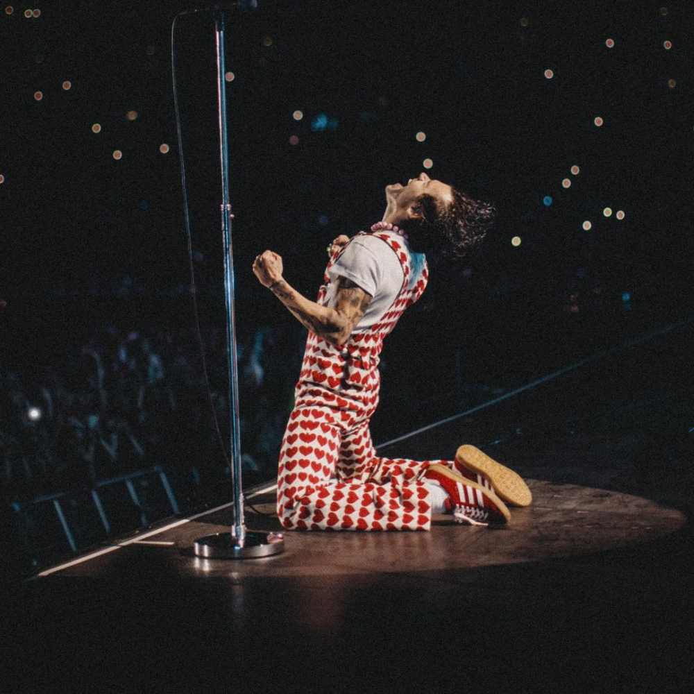 Pop Icon Fashion: The Harry Styles Adidas Collaboration